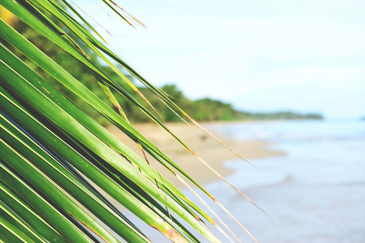 Costa Rican Coast Part #2 | ldw photography