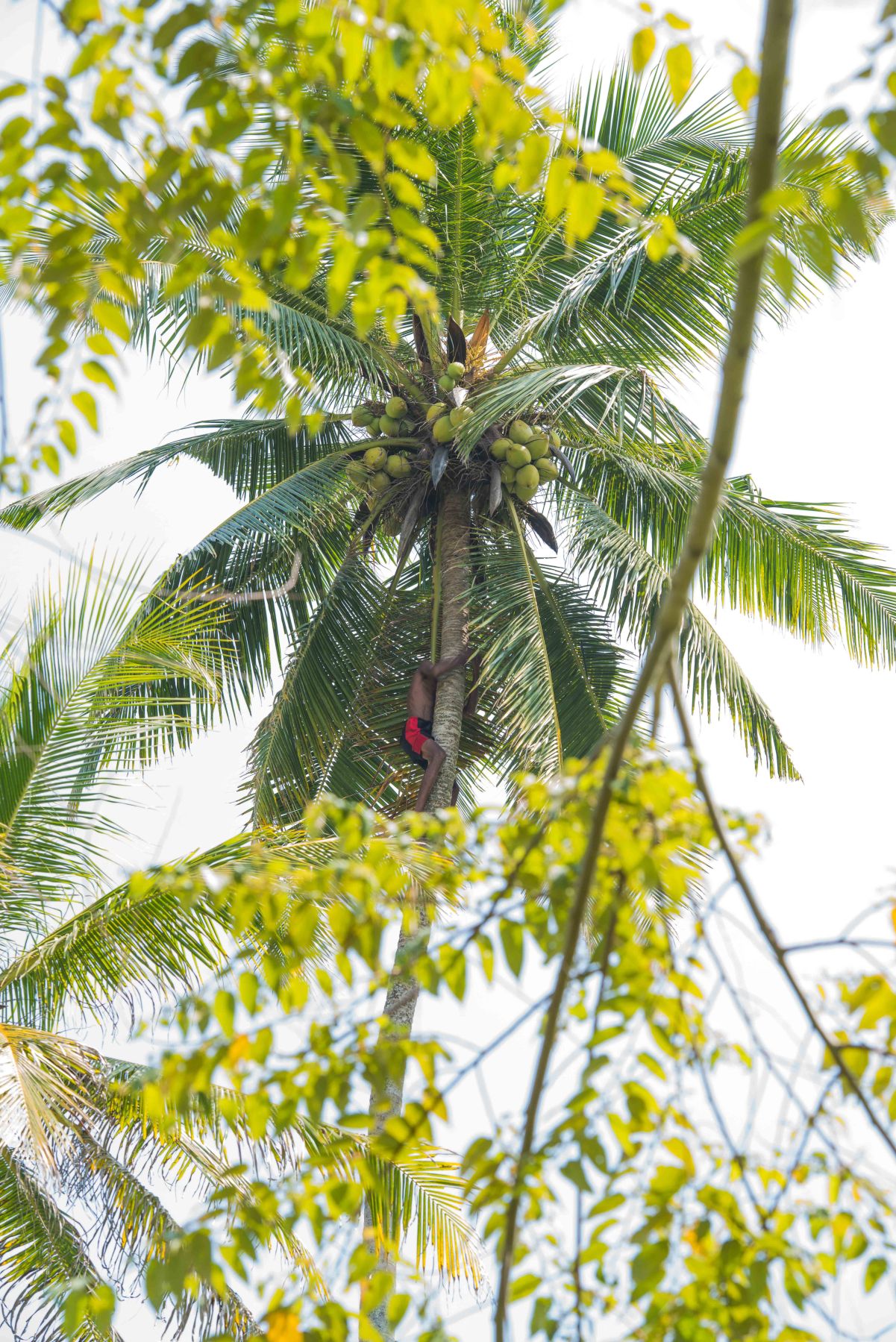 One Week of Talalla Beach Bliss | ldw photography