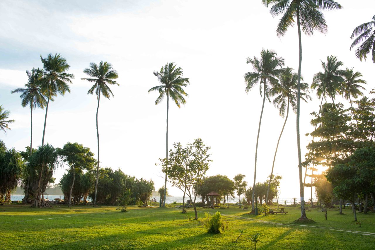 One Week of Talalla Beach Bliss | ldw photography