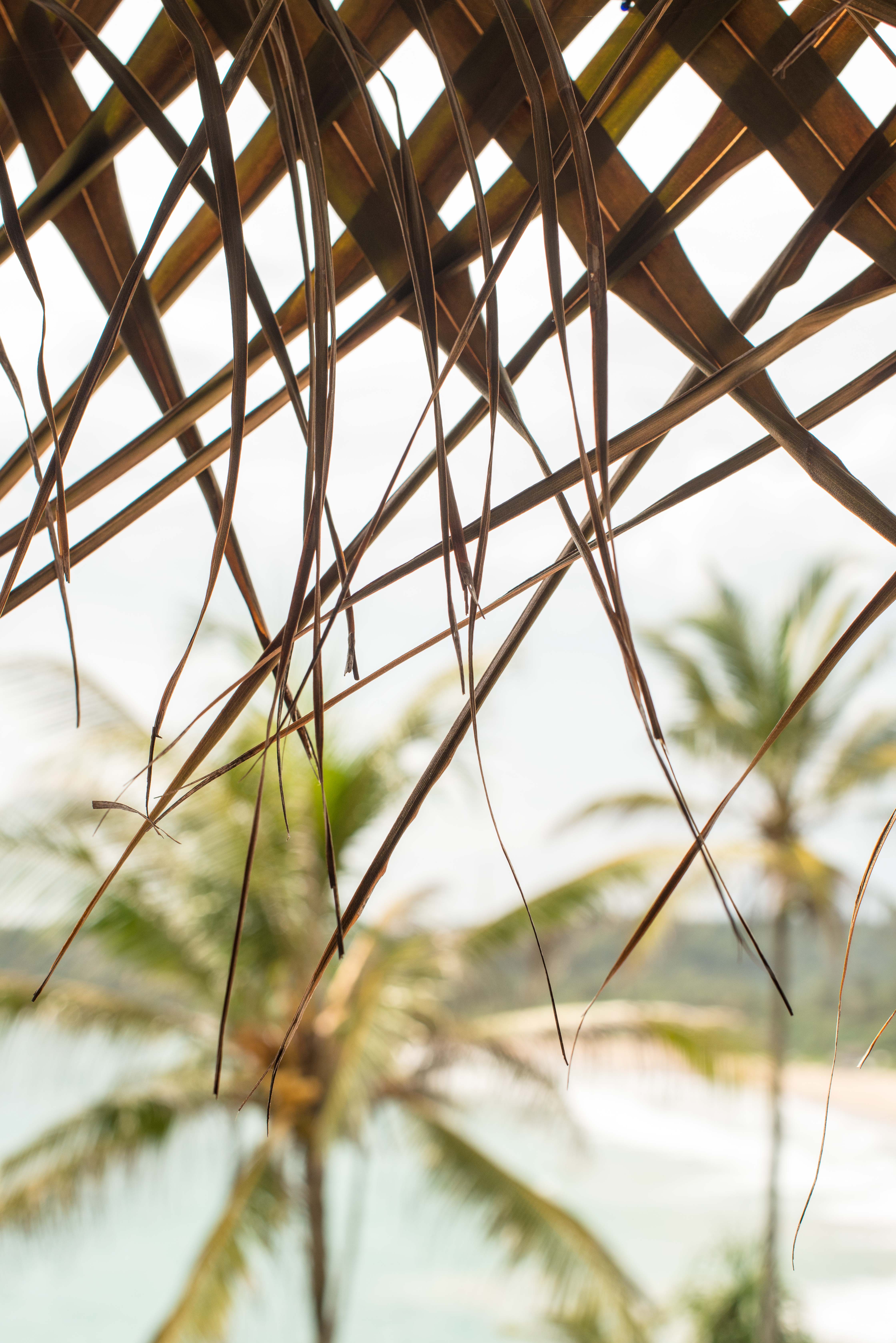 One Week of Talalla Beach Bliss | ldw photography